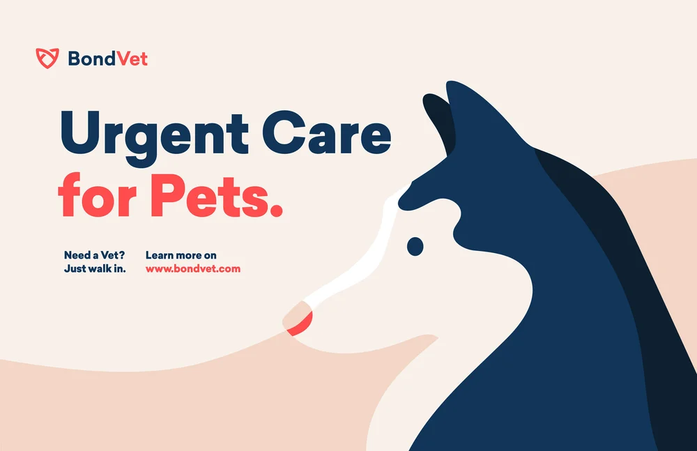 Bond Vet — Manureva Studio - Branding & Illustration