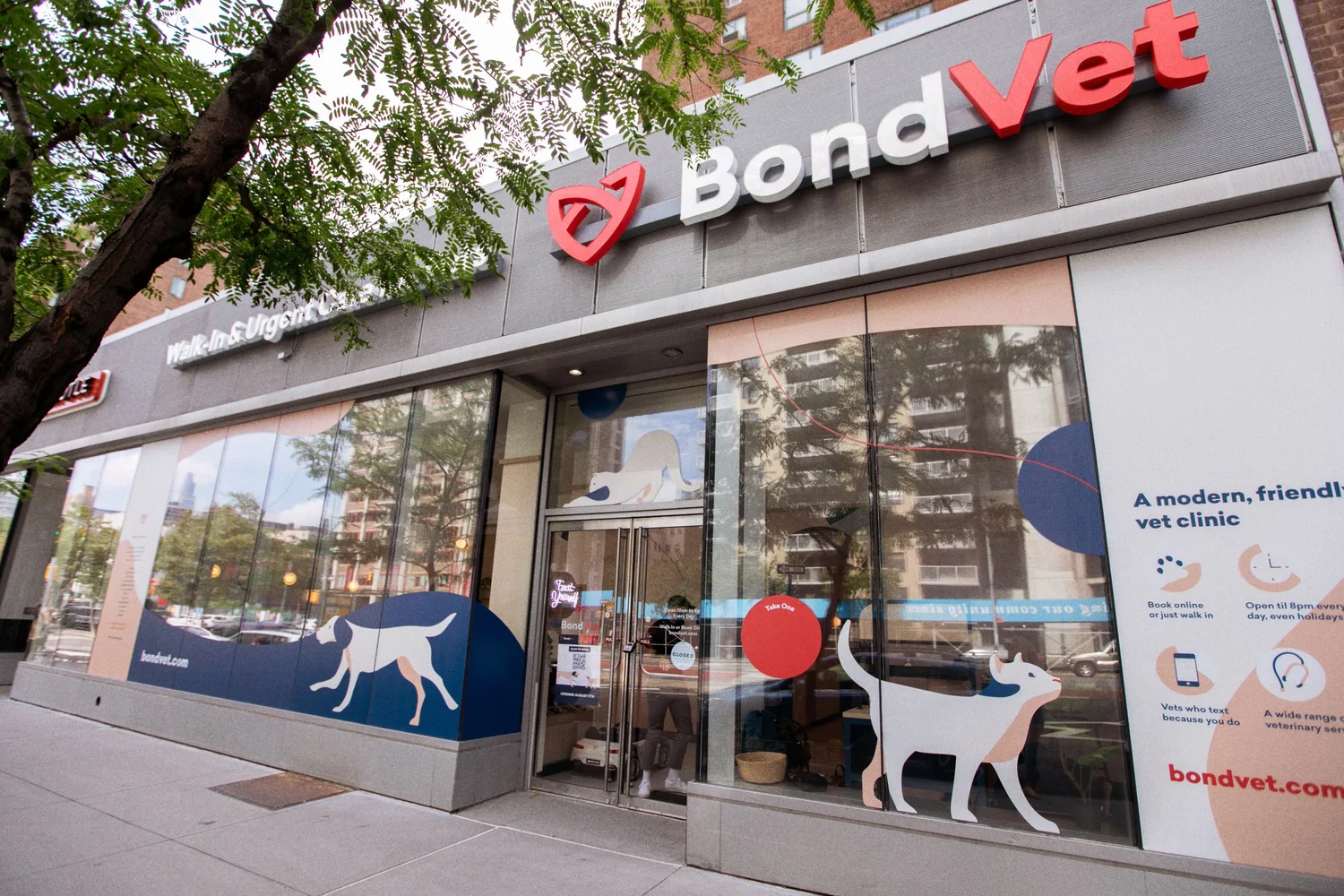 Bond Vet — Manureva Studio - Branding & Illustration