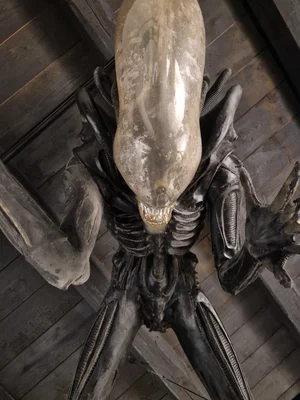 The Captivating and Provocative Art of Hans Giger: Exploring the Impact ...