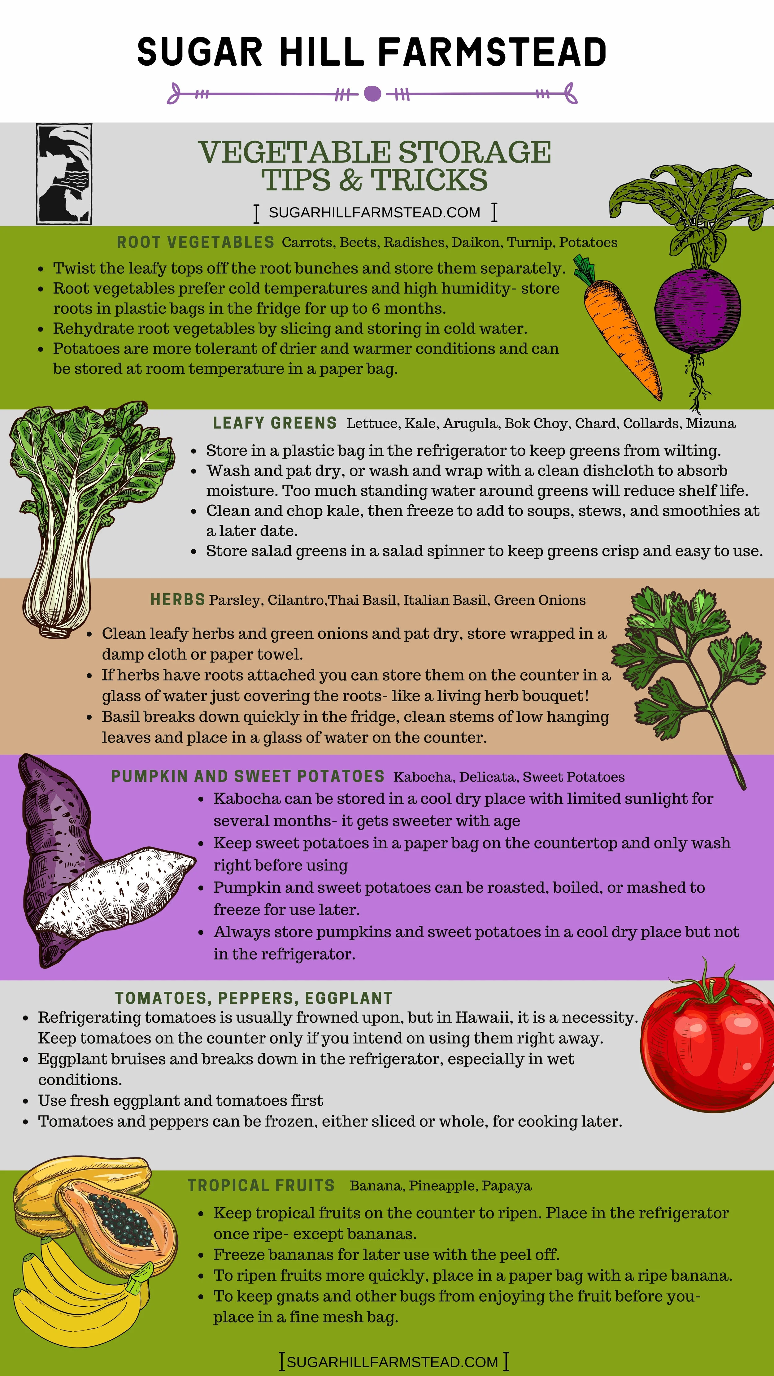 Vegetable Storage Tips and Tricks — Sugar Hill Farmstead