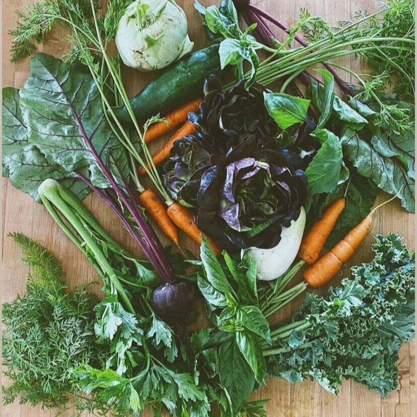 Sugar Hill Farmstead