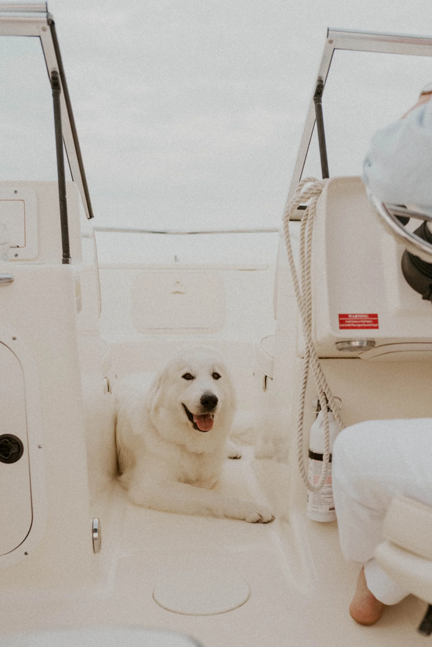 Ellery and Sam: An Intimate, Vintage Engagement Shoot on the River ...