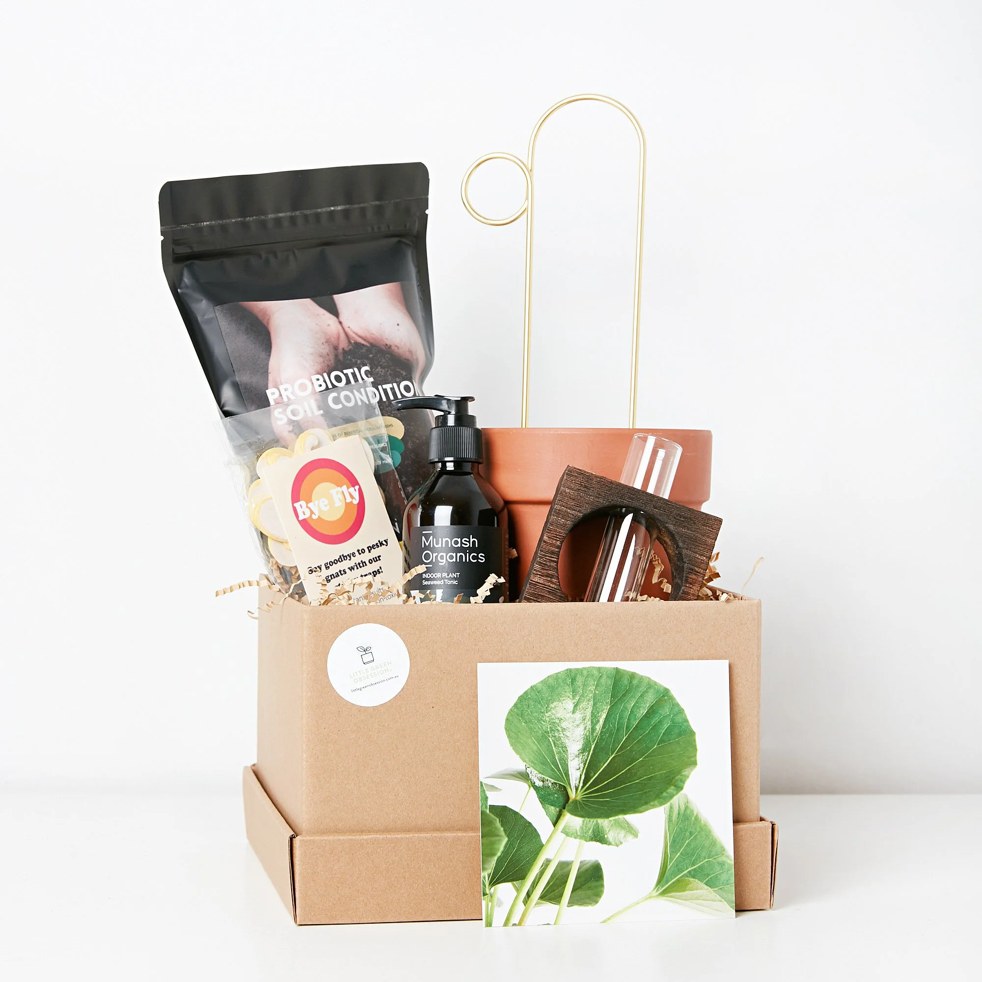 Munash Plant Care - gift pack — Little Green Obsession