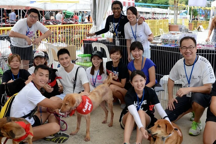 5 Reasons Why BELLY UP Gives Back To Animal Charities And Animal ...