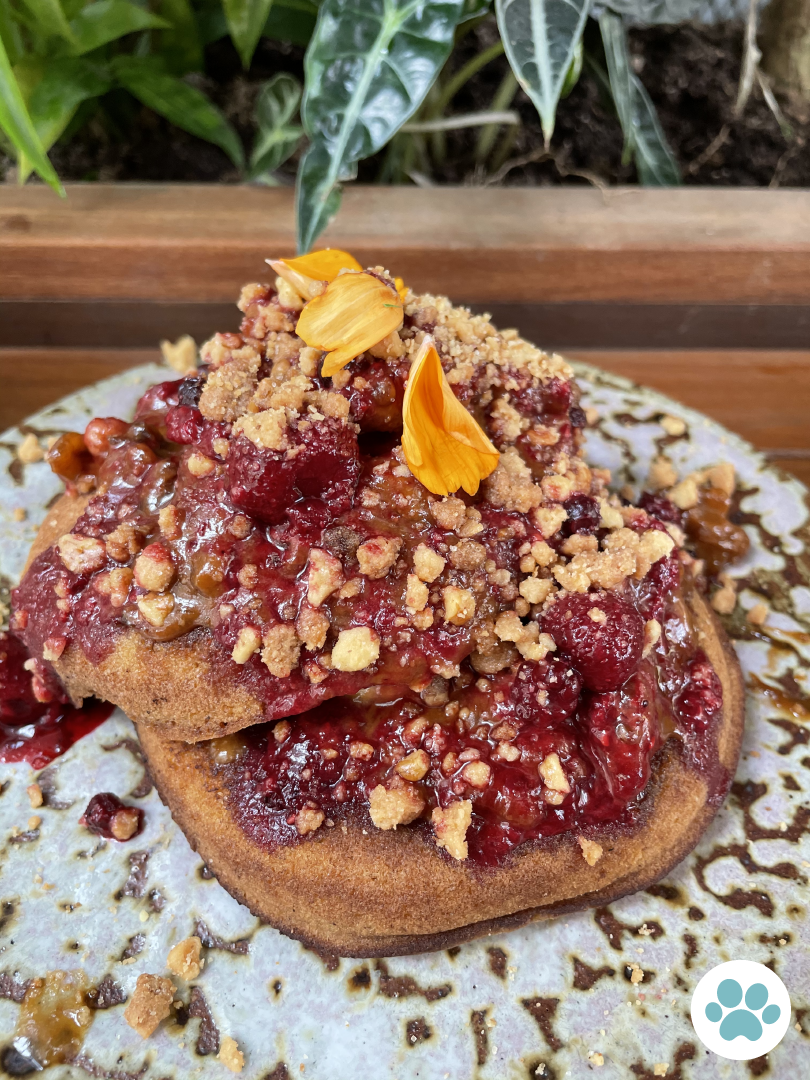 BELLY UP Review Singapore's Dog-Friendly Cafes: Common Man Coffee ...