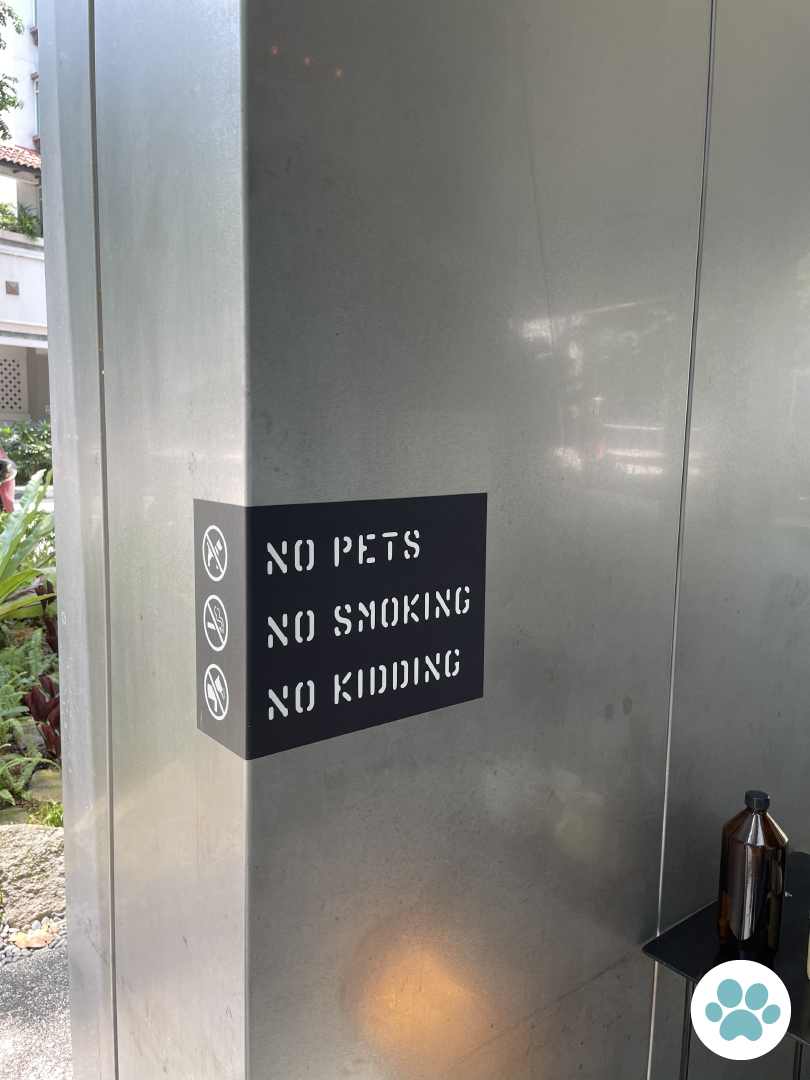 BELLY UP Review Singapore's Dog-Friendly Cafes: Common Man Coffee ...