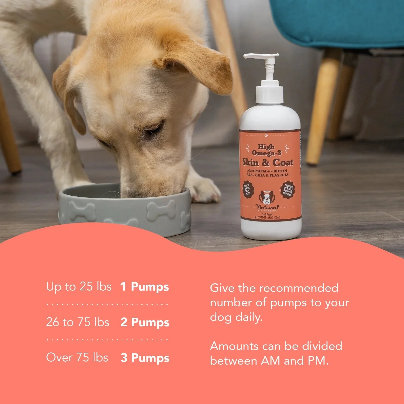 Natural Dog Company in Singapore | Official Distributor — BELLY UP