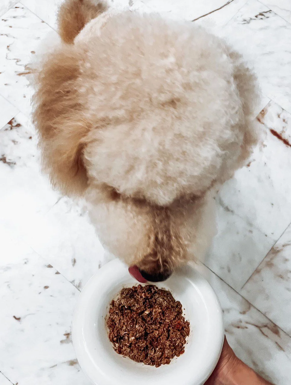 What Is In Our Raw NRC Beef and Duck Dog Food? — BELLY UP