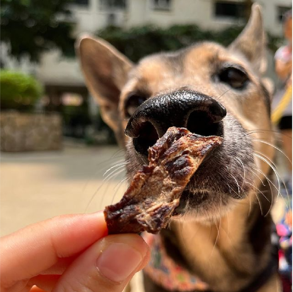 We Asked ChatGPT About The Most Popular Dog Treats In 2023 — BELLY UP