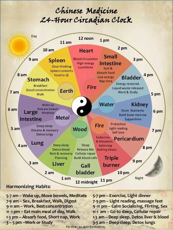 Align Your Circadian Rhythm with the T.C.M. Body Clock