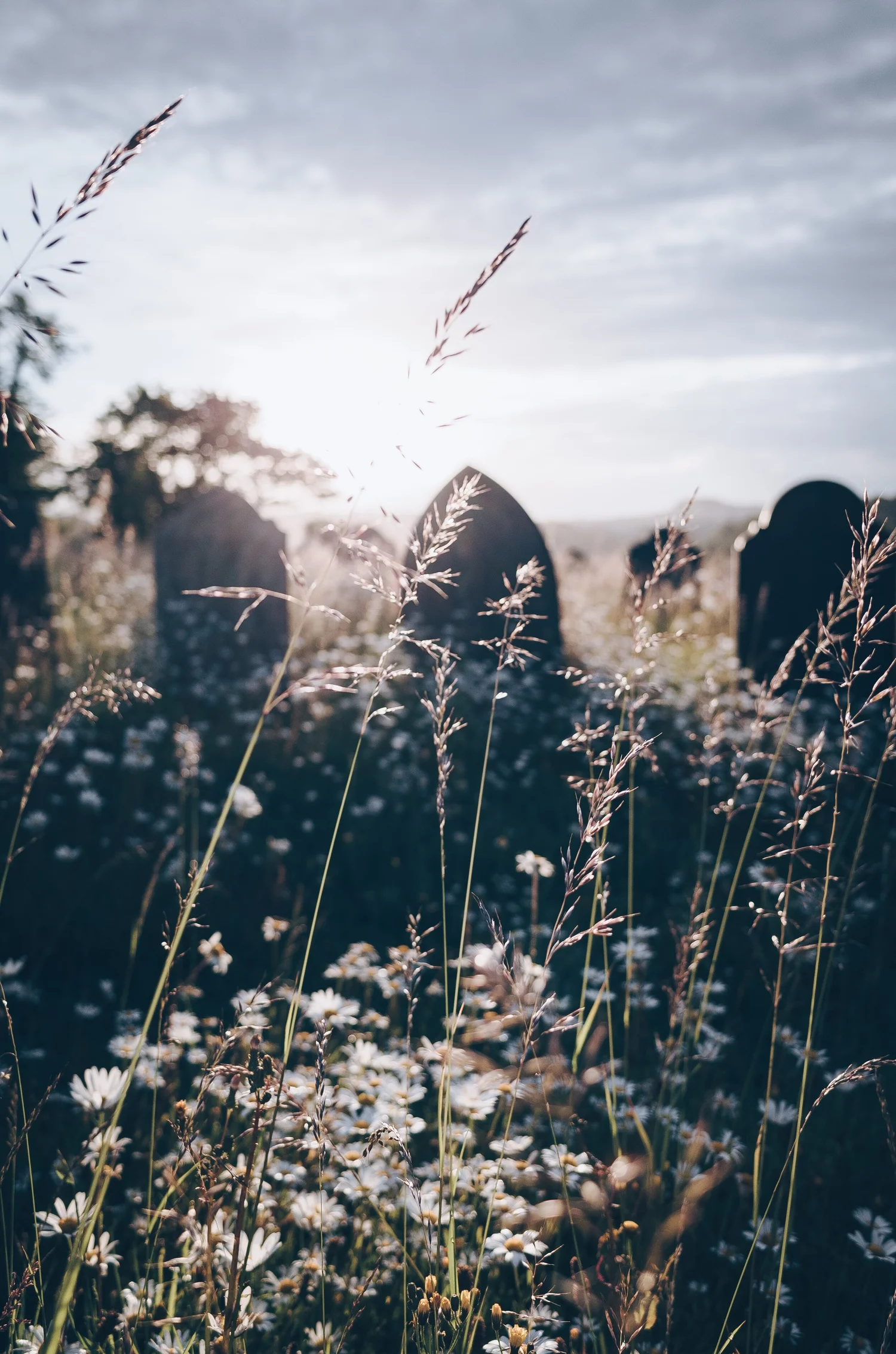 Rest in Peace - Christian Reflections on Peace in Death, Eternal Hope ...