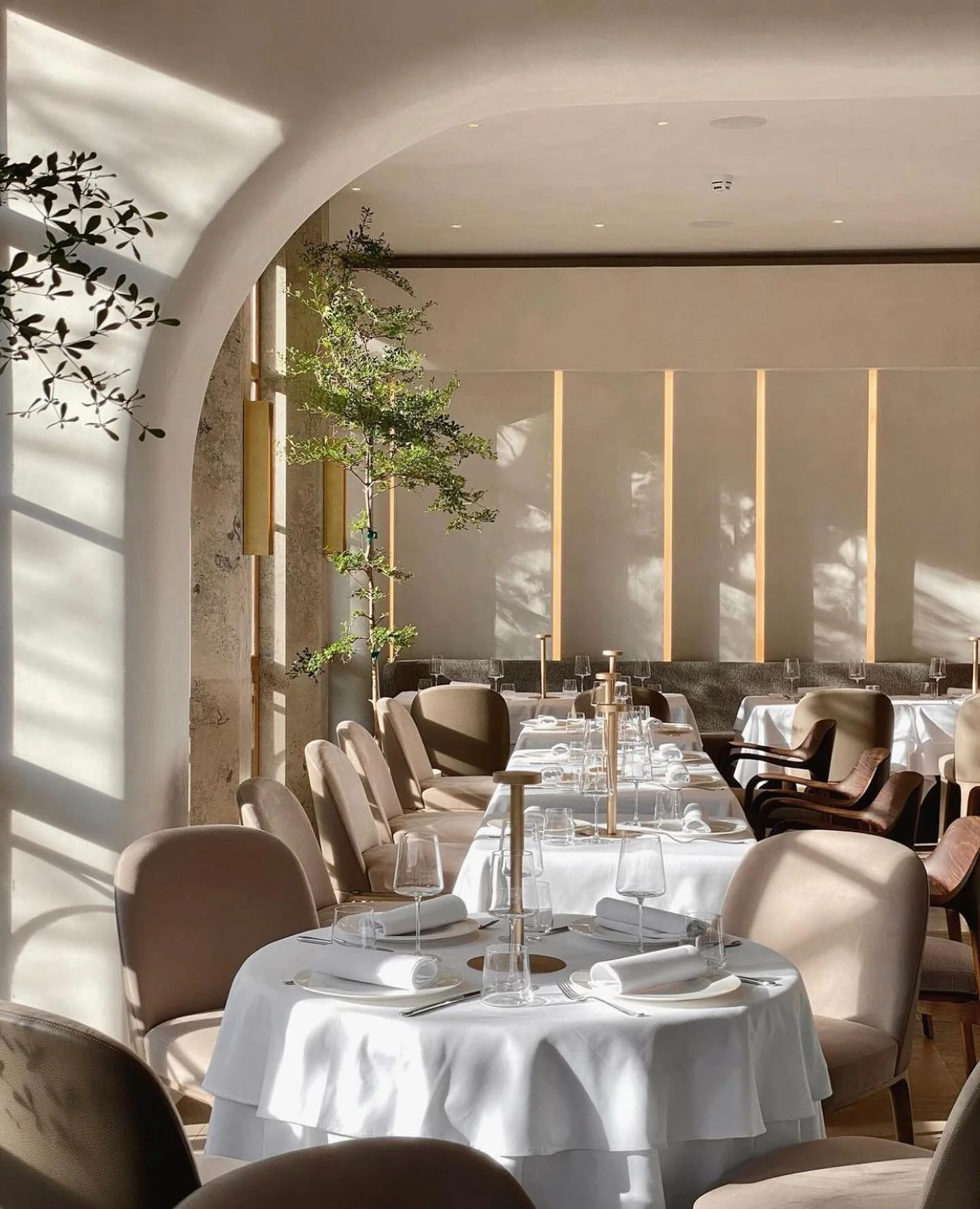 Betskoy Development — Asthetique