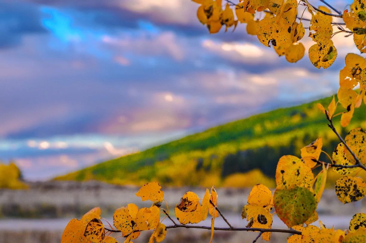 Colorado Through the Seasons: DIA Gallery | Discover Colorado Seasons ...