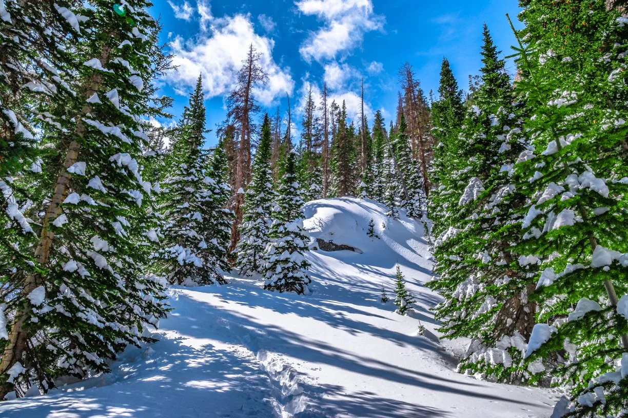 Colorado Through the Seasons: DIA Gallery | Discover Colorado Seasons ...