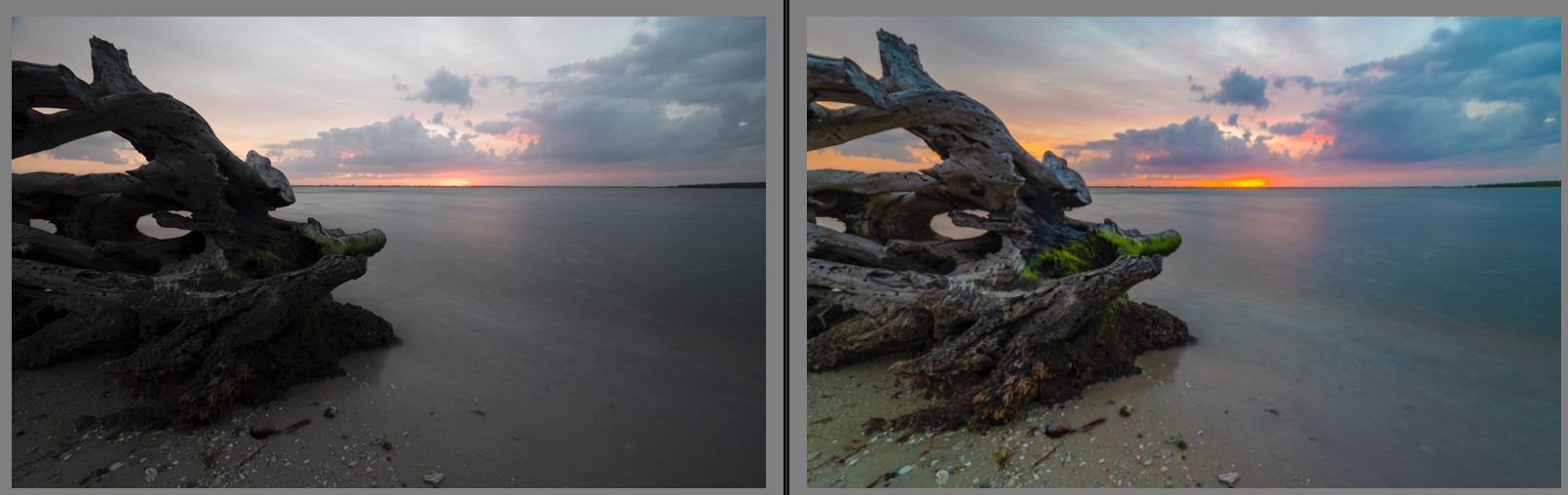 Presets: Nature Photography Fundamentals Pack | Enhance Your Nature ...