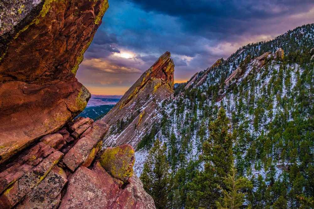 Jeremy Janus Photography