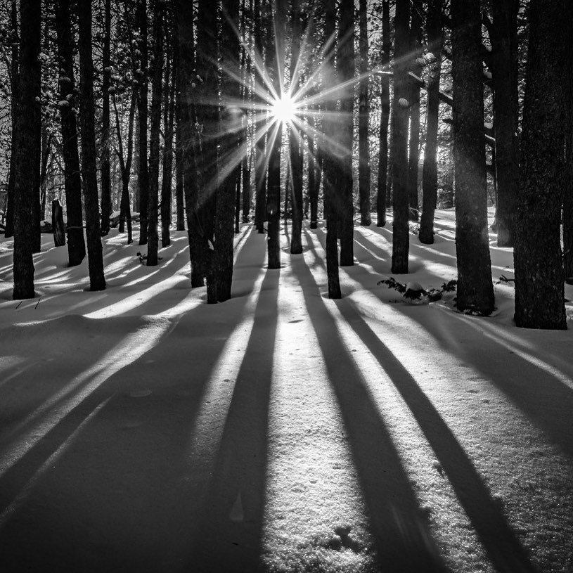 Jeremy Janus Photography