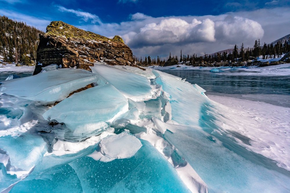 Jeremy Janus Photography