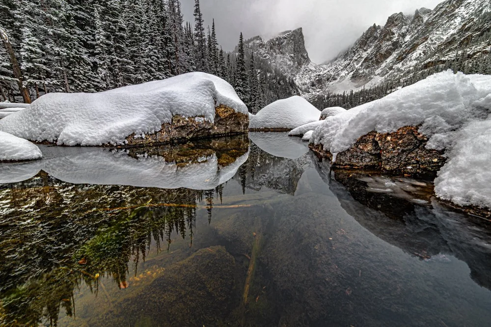 Jeremy Janus Photography