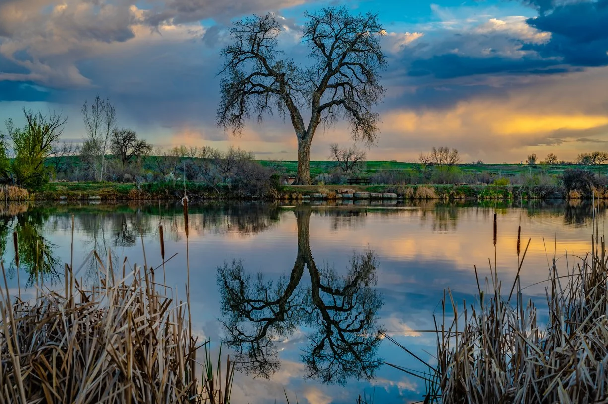 Jeremy Janus Photography