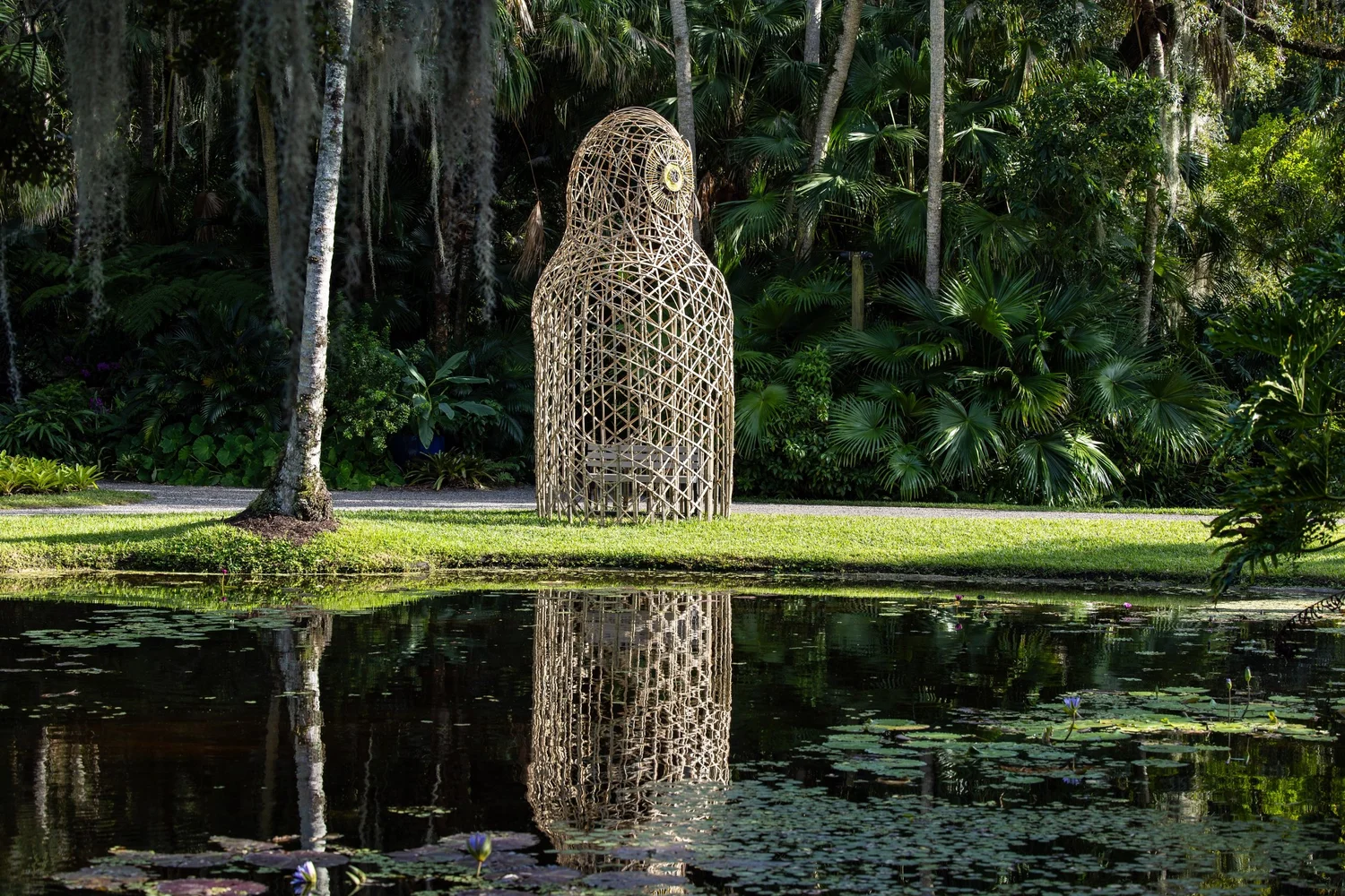 A Tropical Flock — The Myth Makers