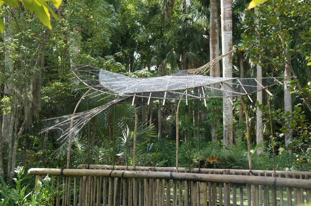 A Tropical Flock — The Myth Makers