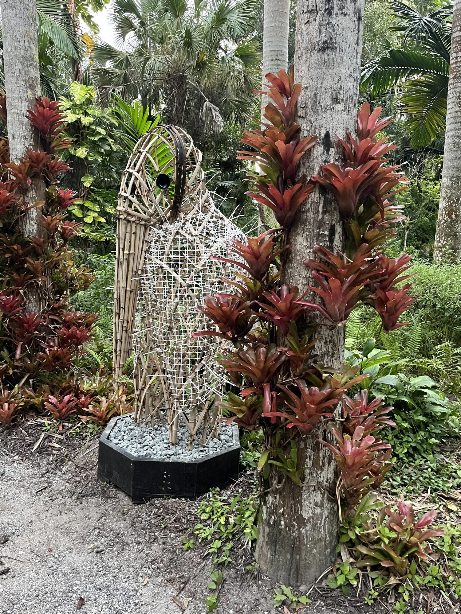 A Tropical Flock — The Myth Makers