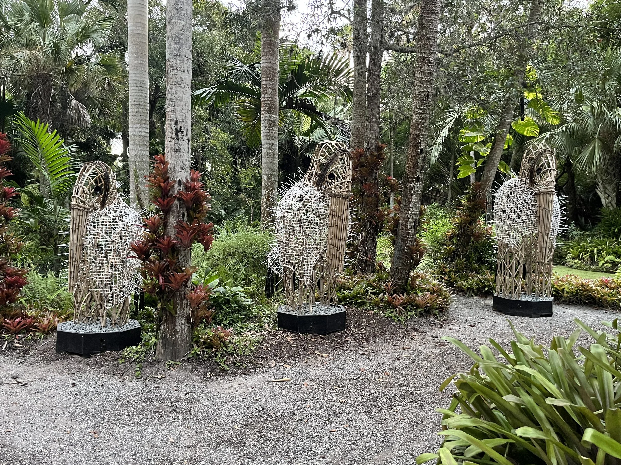 A Tropical Flock — The Myth Makers