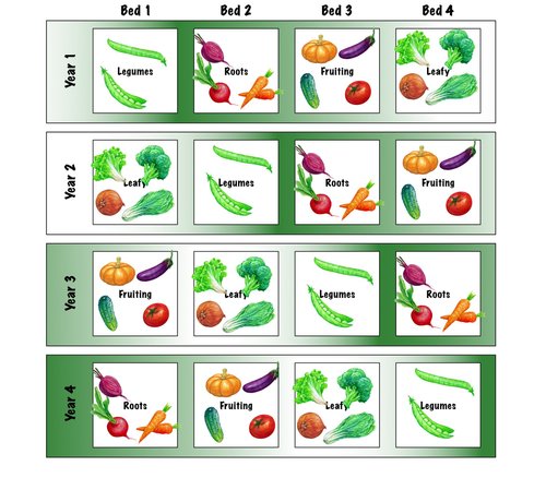 A Simple Method for Crop Rotation — Grow Sow Happy