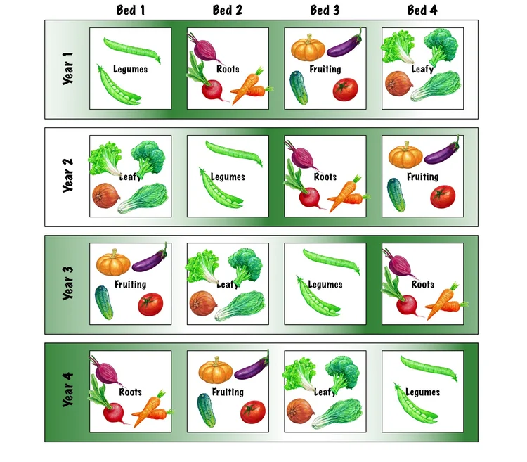 A Simple Method for Crop Rotation — Grow Sow Happy
