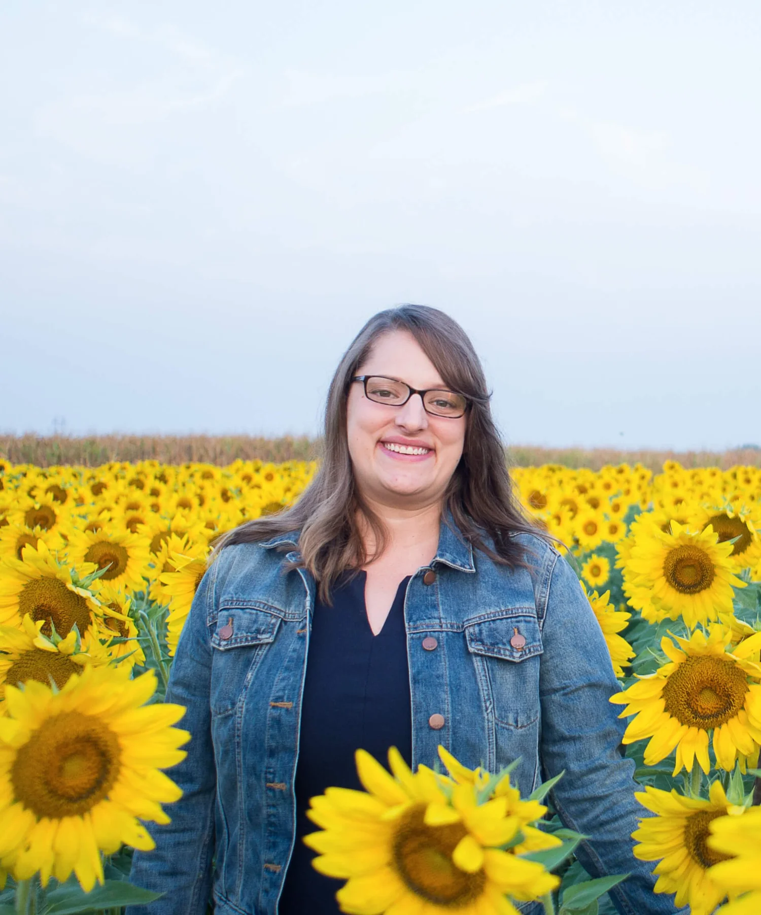 Routine Guides — Rooted in Routine