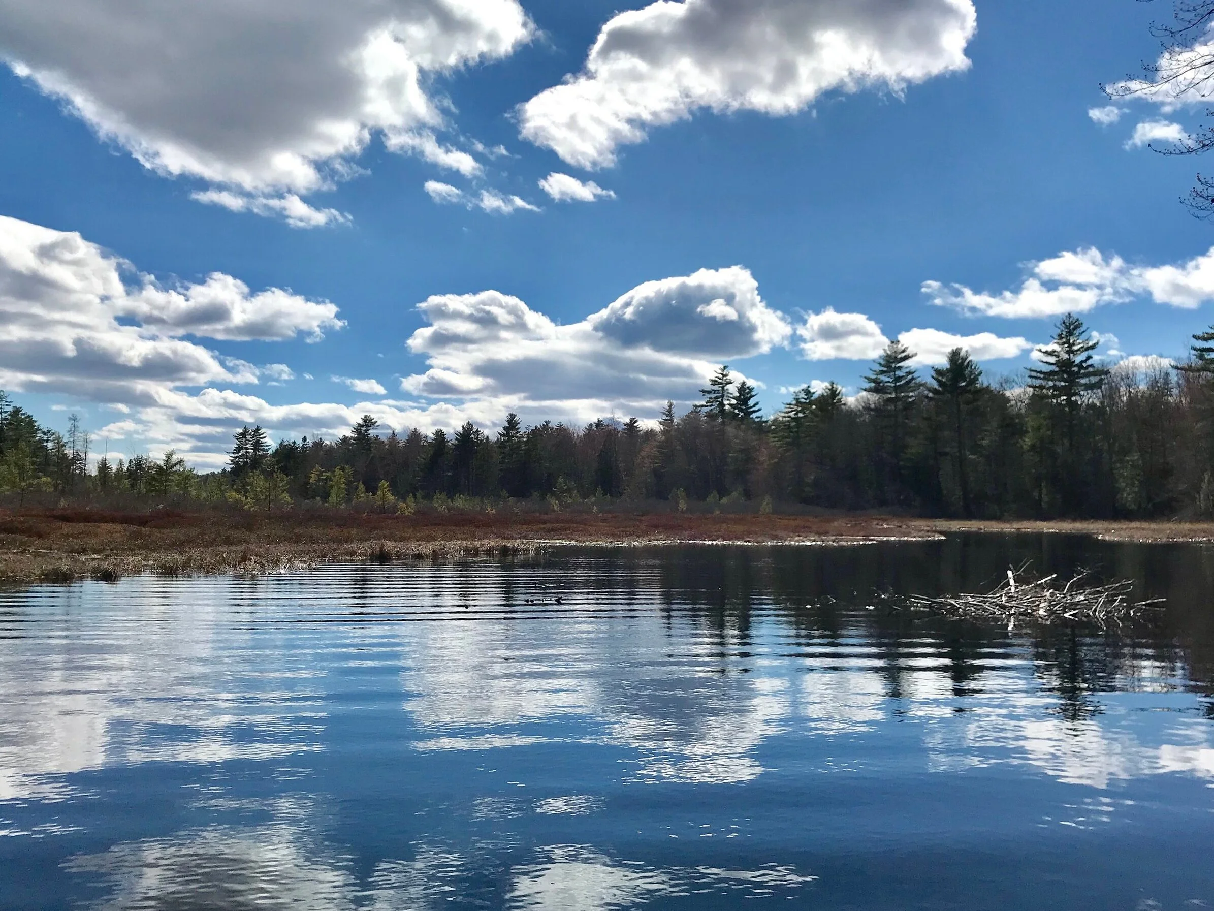 General 2 — Washington Lakes Watershed Association