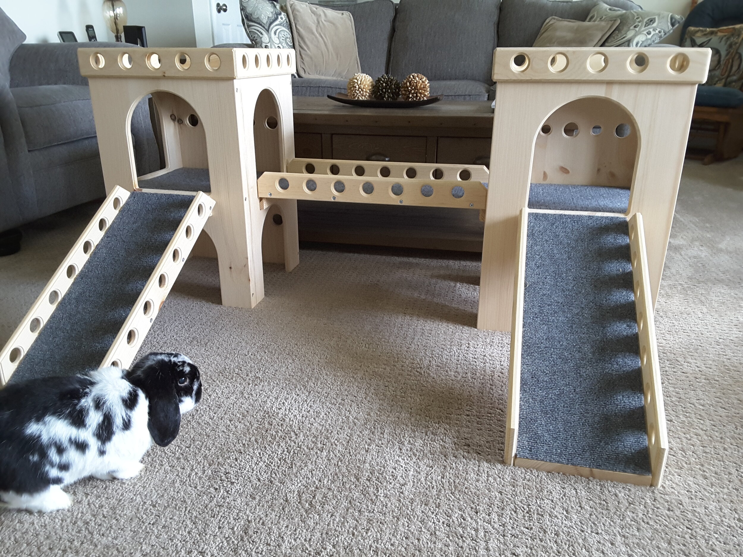 Shop Now — BUNNY BEDS & BEYOND