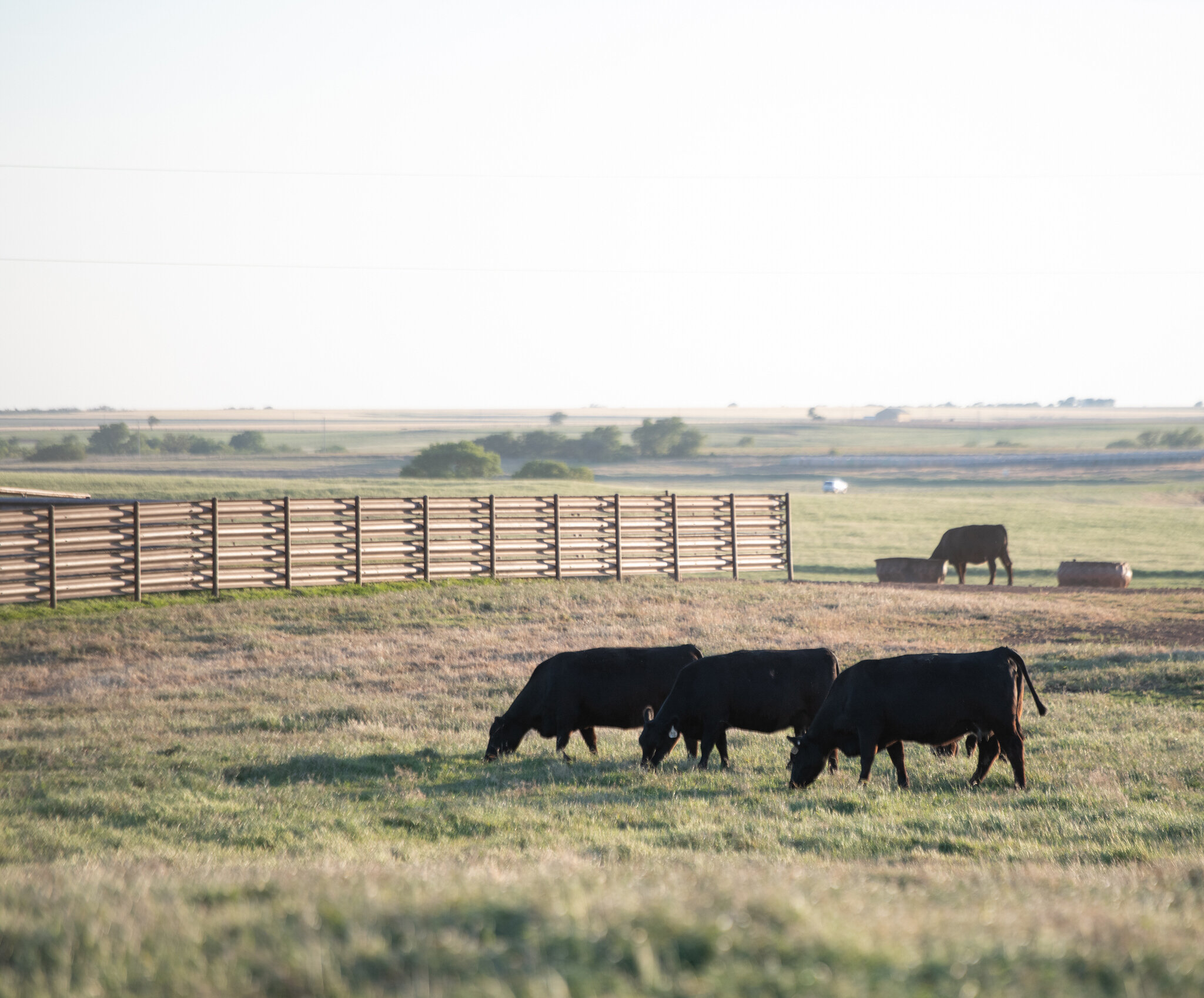 About — Coyote Hills Ranch