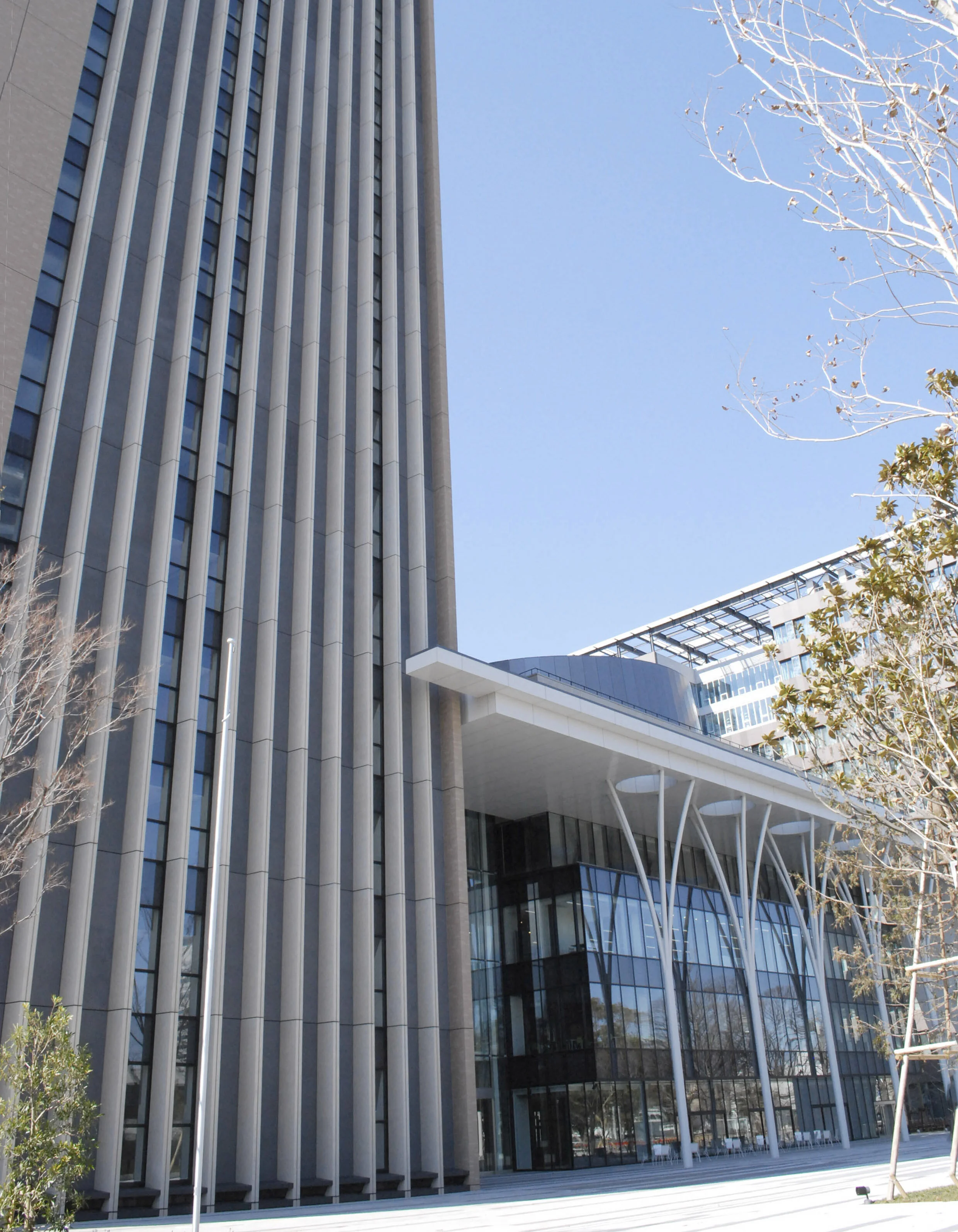 Meiji University Nakano Campus - Tokyo, Japon — Agence dharma