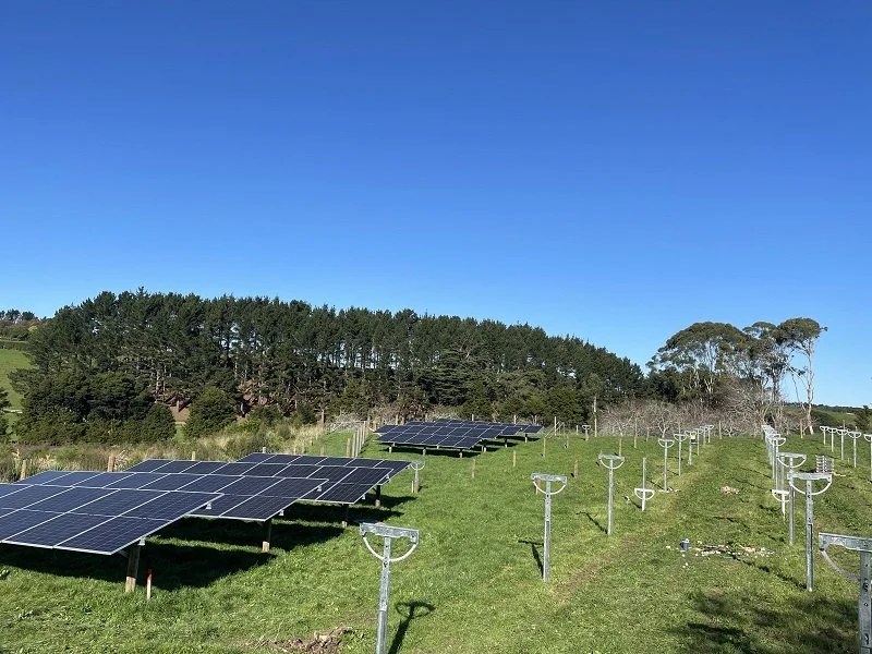 Solar Farm Project - Waiuku Solar Farm — Lightyears Solar
