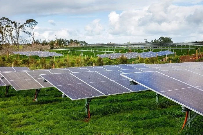 Solar Farm Project - Waiuku Solar Farm — Lightyears Solar