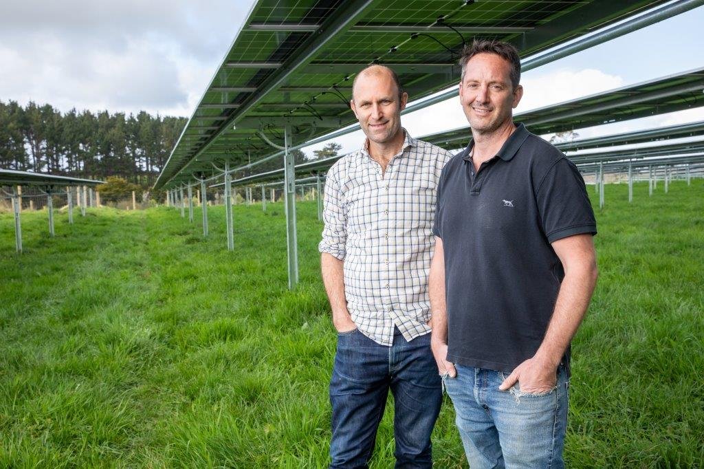 Solar Farm Project - Waiuku Solar Farm — Lightyears Solar