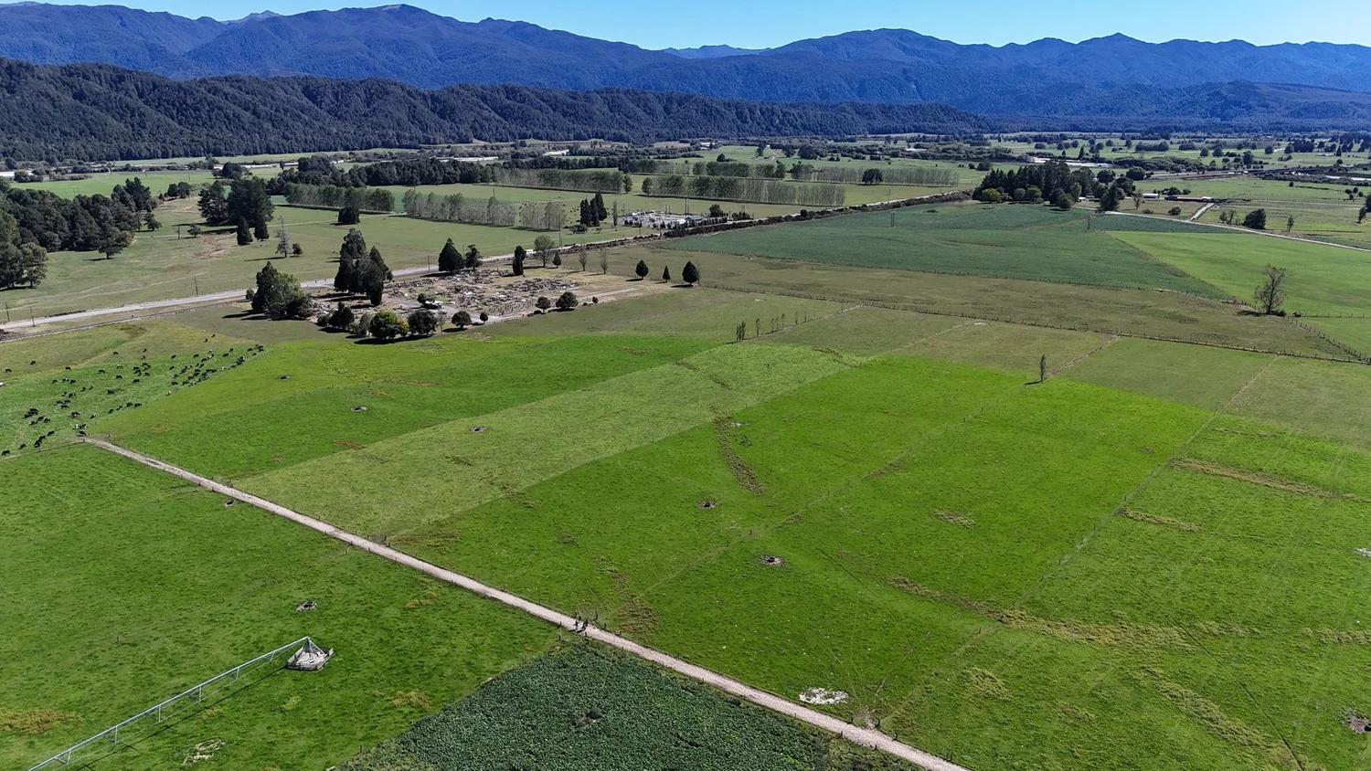 Reefton Solar Farm — Lightyears Solar