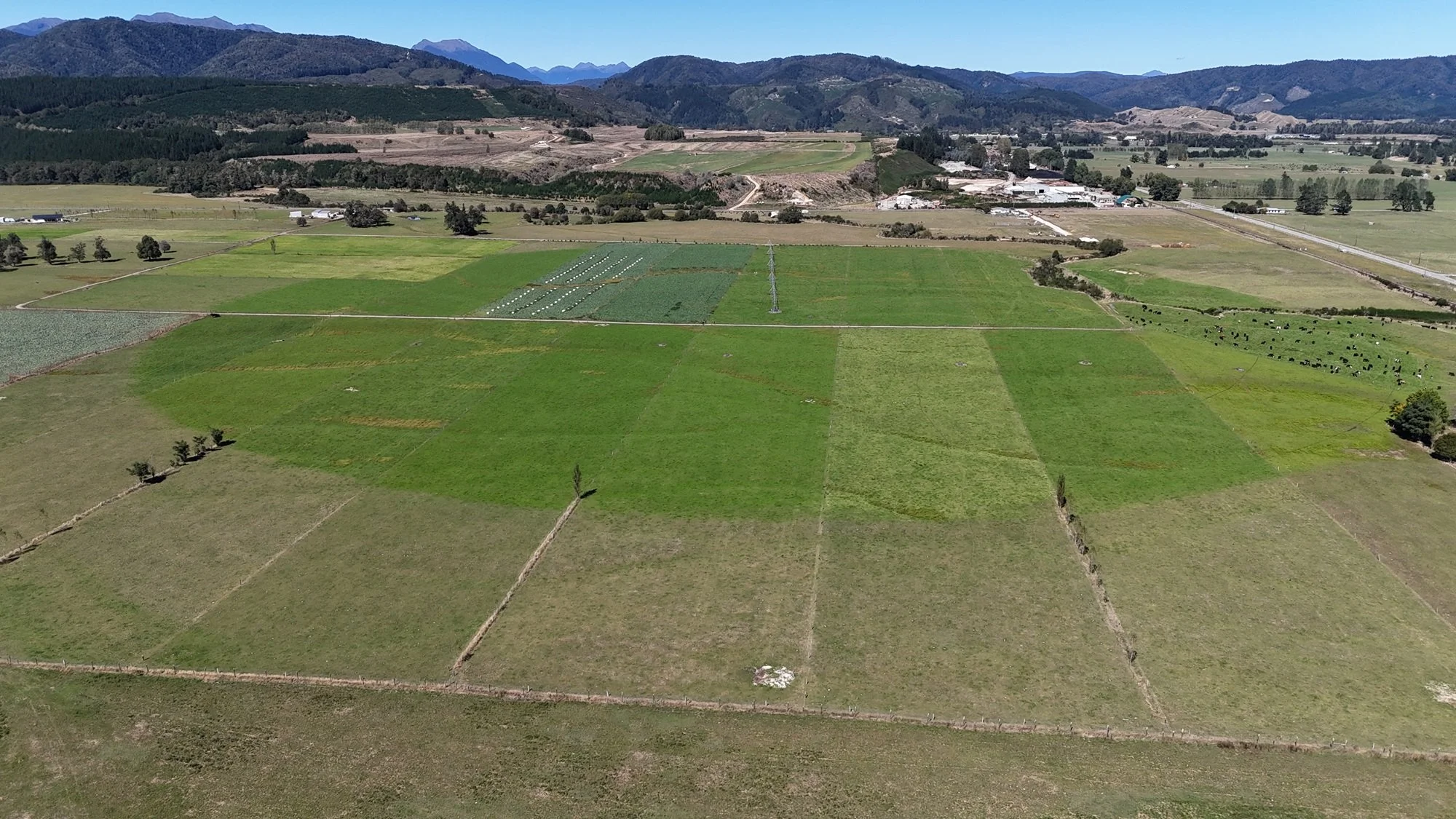 Reefton Solar Farm — Lightyears Solar