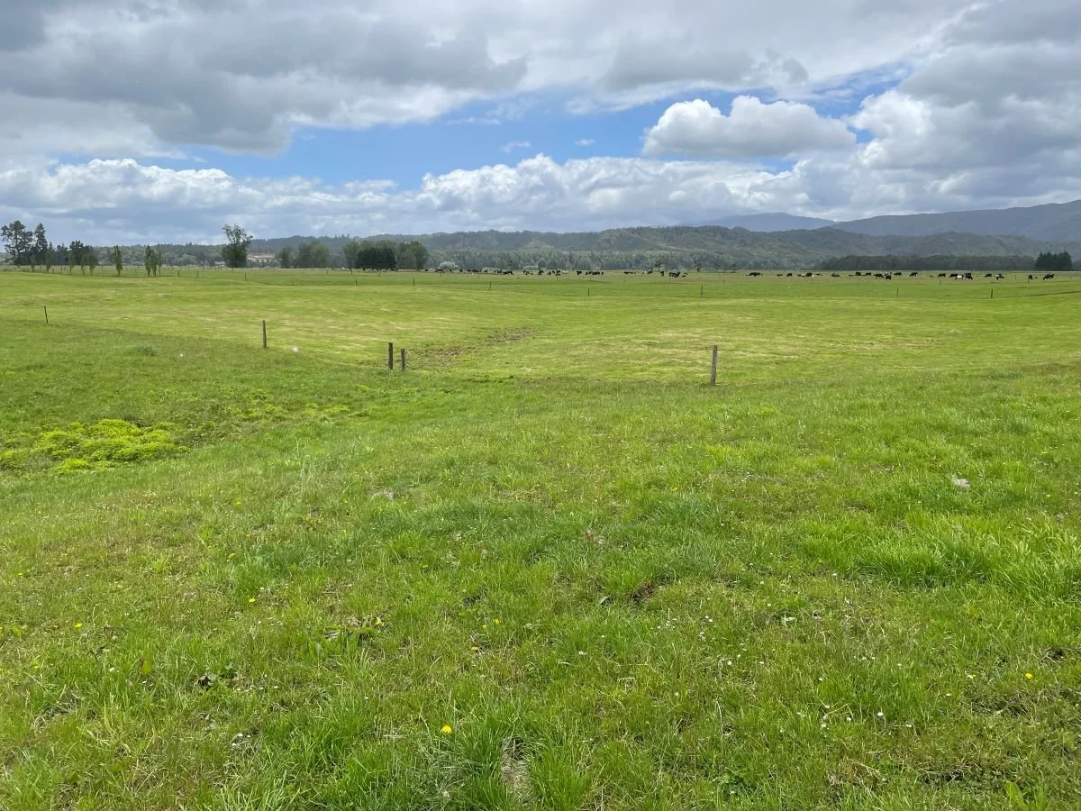 Reefton Solar Farm — Lightyears Solar