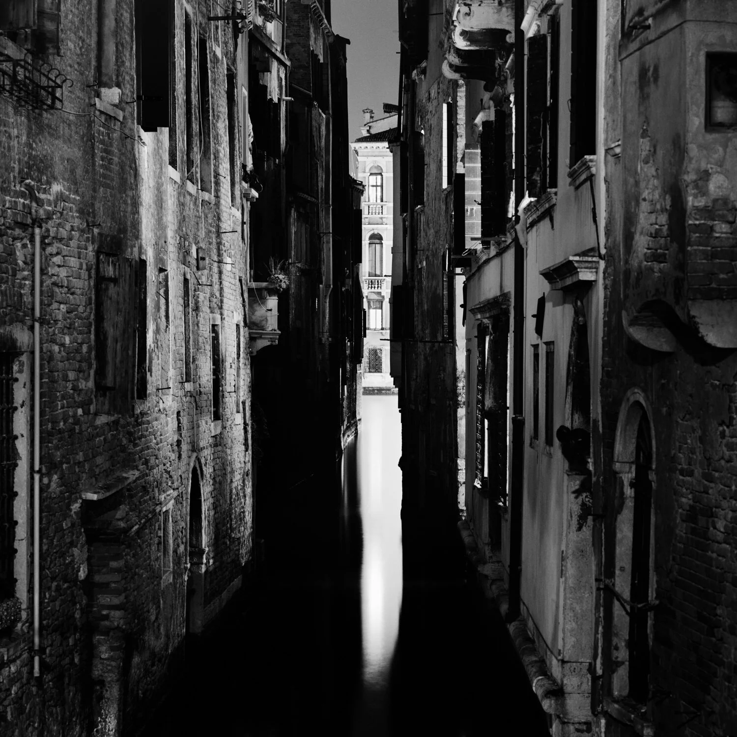 Timeless — RAFAEL ROJAS