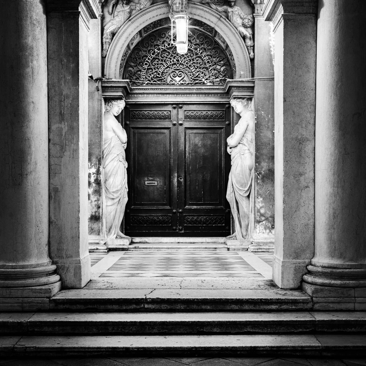 Timeless — RAFAEL ROJAS