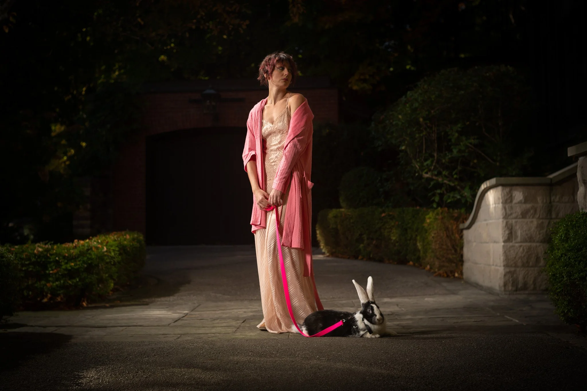 Anna_rabbit — JMCD