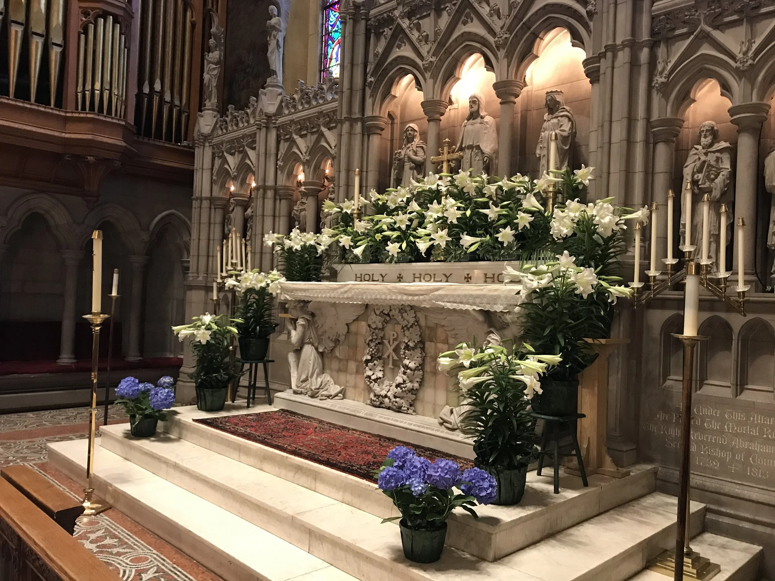 Easter Flowers: Take home a sign of resurrection! — Trinity on the Green