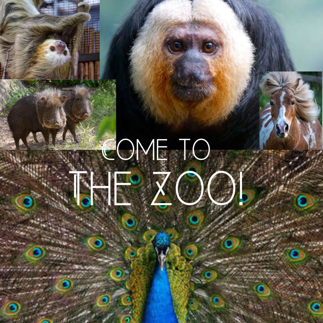 Trinity on the Green