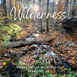 "Wilderness" | Reflection by Phylis Iqbal — Trinity on the Green