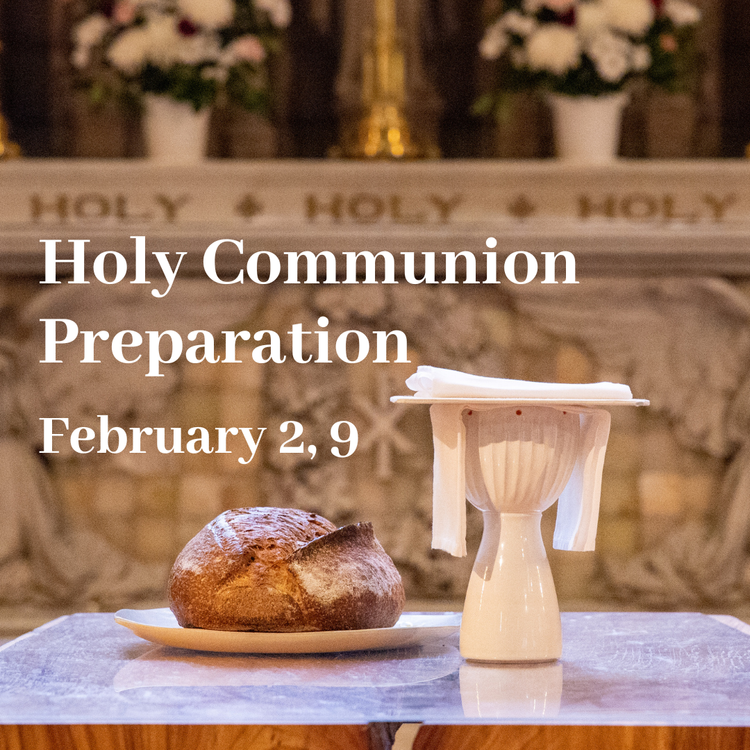 Holy Communion Preparation — Trinity on the Green