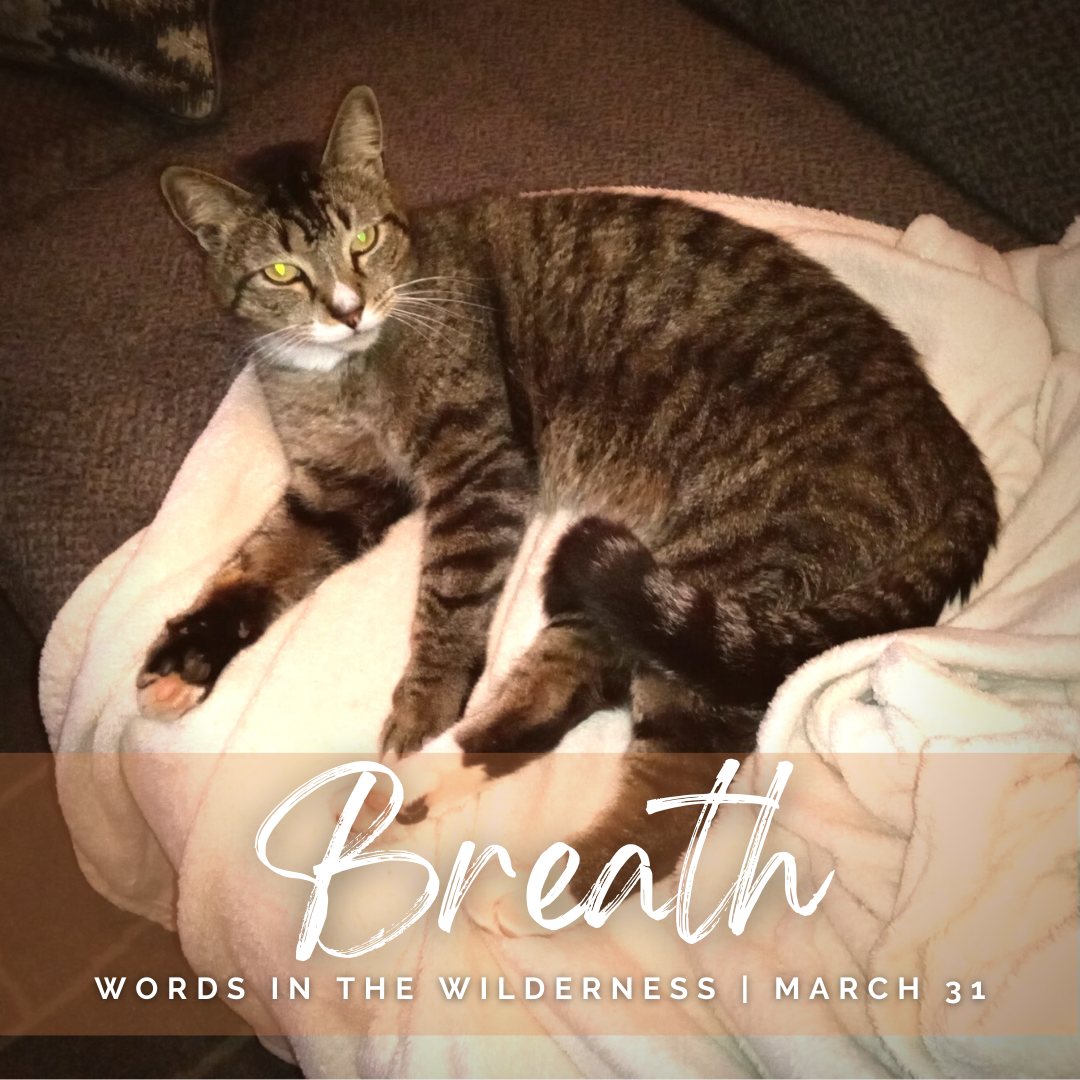 "Breath" | Reflection by Ramesh Roy Swamy — Trinity on the Green