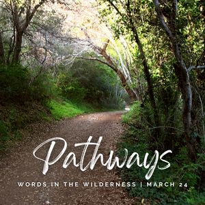 "Pathways" | Reflection by Jack Tebes — Trinity on the Green